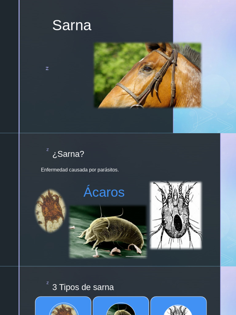 Tipos de Sarna y Foliculitis en Caballos | PDF | Especialidades Medicas ...