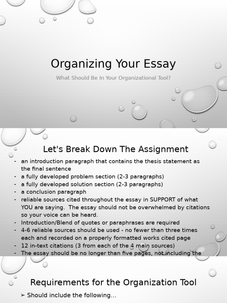 Organizing Your Essay: What Should Be in Your Organizational Tool ...