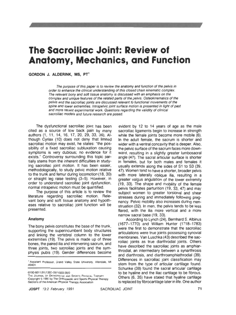 Alderink 1991 | PDF | Pelvis | Vertebra