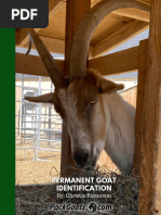 Goat Vital Signs and Health Guide | PDF | Goat | Thermoregulation