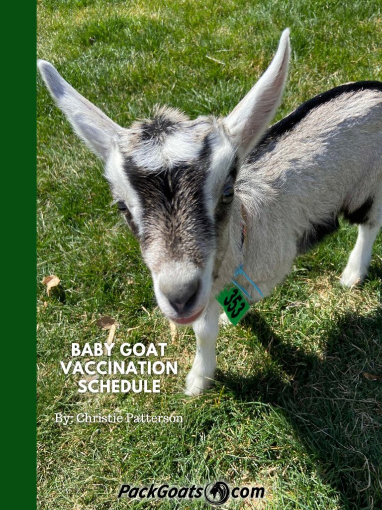 Baby Goat Vaccination Guidelines | PDF | Milk | Diarrhea