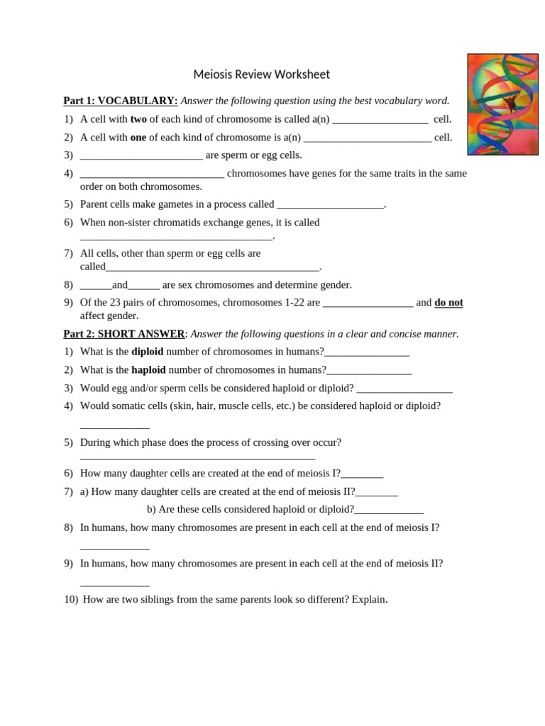 Meiosis Review Worksheet and Answers | PDF