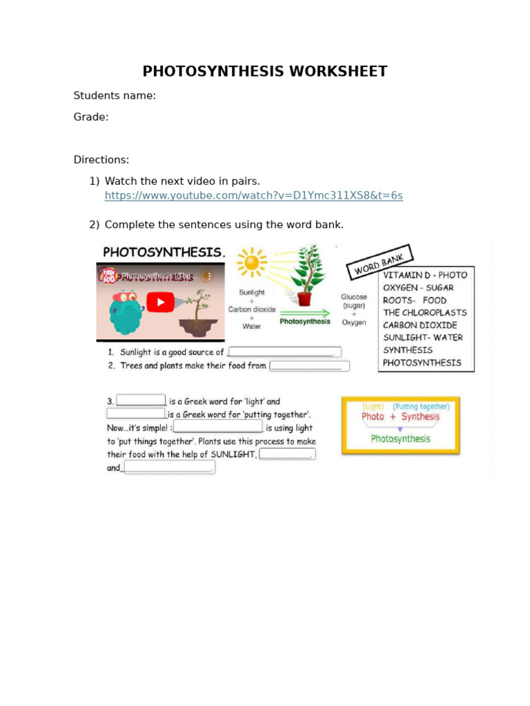 Photosynthesis Worksheet for Students | PDF