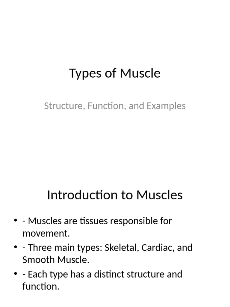 Muscle Types: Structure & Function | PDF