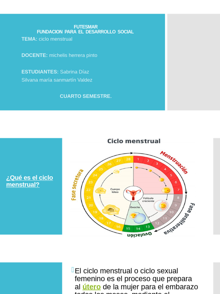 Ciclo Menstrual Diapositiva 111 | PDF | Ciclo menstrual | Menstruación