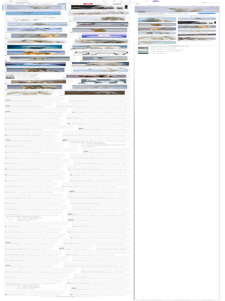 Oso Polar - Buscar Con Google | PDF | Oso polar | Osos