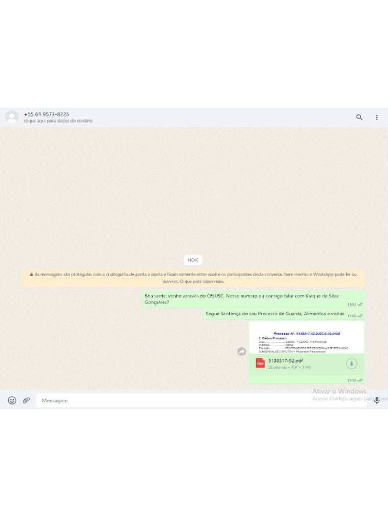 Captura de Tela 699 | PDF