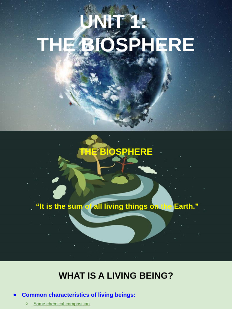 u1 the Biosphere | PDF | Cell (Biology) | Organelle