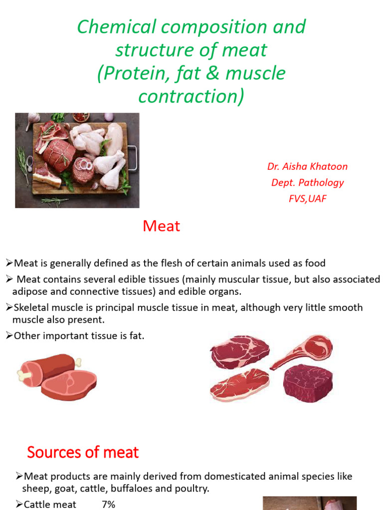 Chemical Composition and Structure of Meat | PDF | Connective Tissue ...