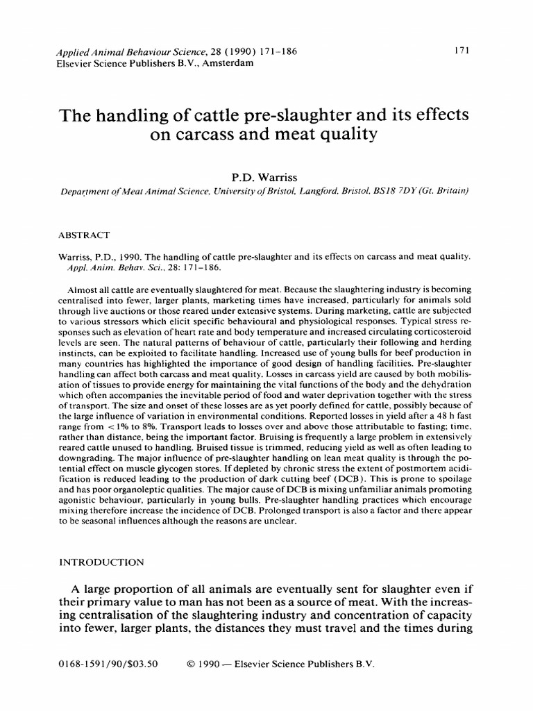 Handling of Pre Slaughter Cattle and Its Effect On Meat | PDF | Cattle ...