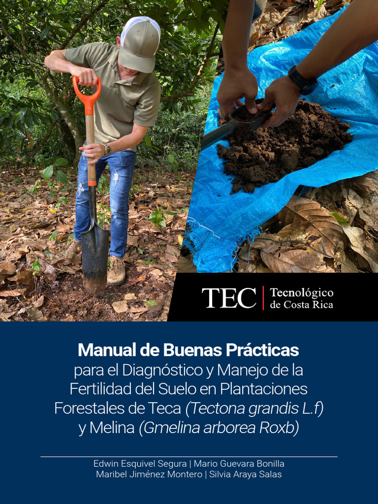 Manual de Buenas Practicas Suelos - TEC | PDF | Fertilizante | Suelo