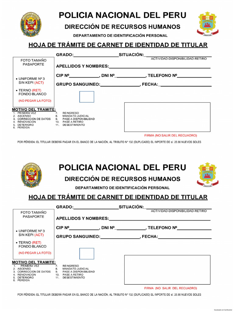 Formato Cip | PDF