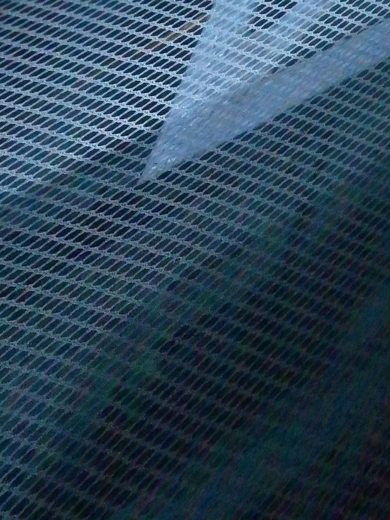 Scanned 20250305 192846 | PDF