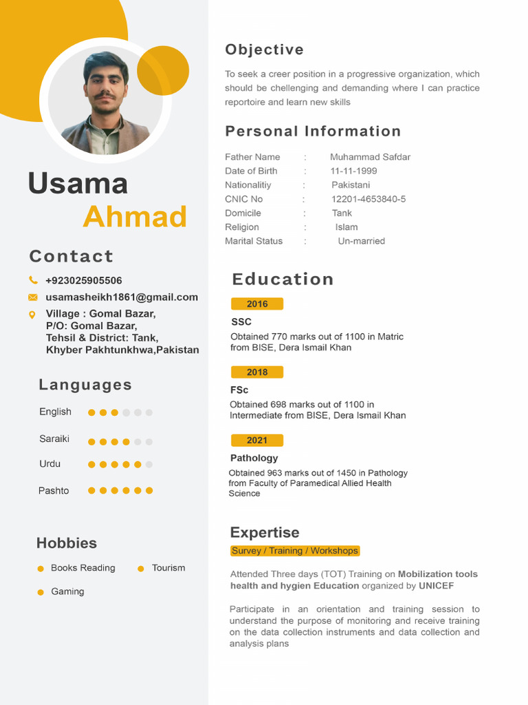 CV (Usama) | PDF