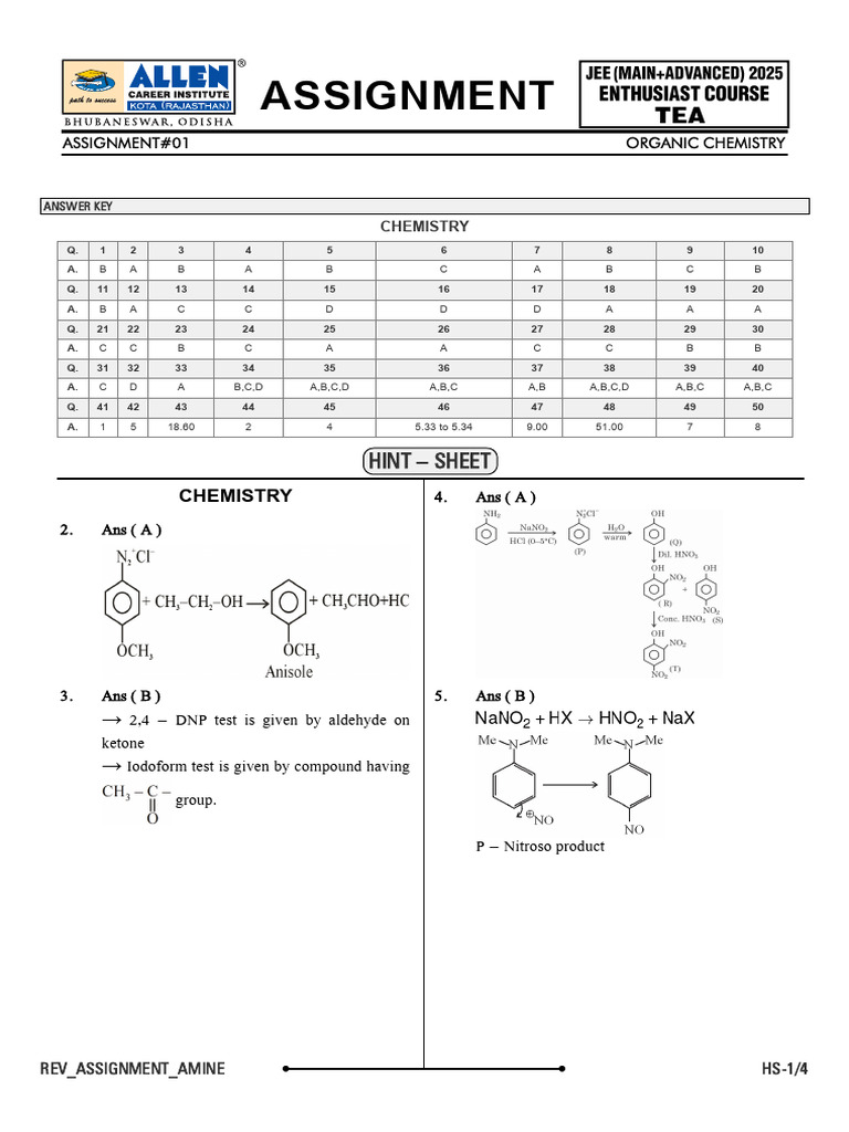 01 Rev Assignment Amine HS | PDF | Amine | Carbon Compounds