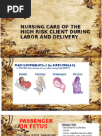 Foley Catheter Insertion Checklist | PDF | Catheter