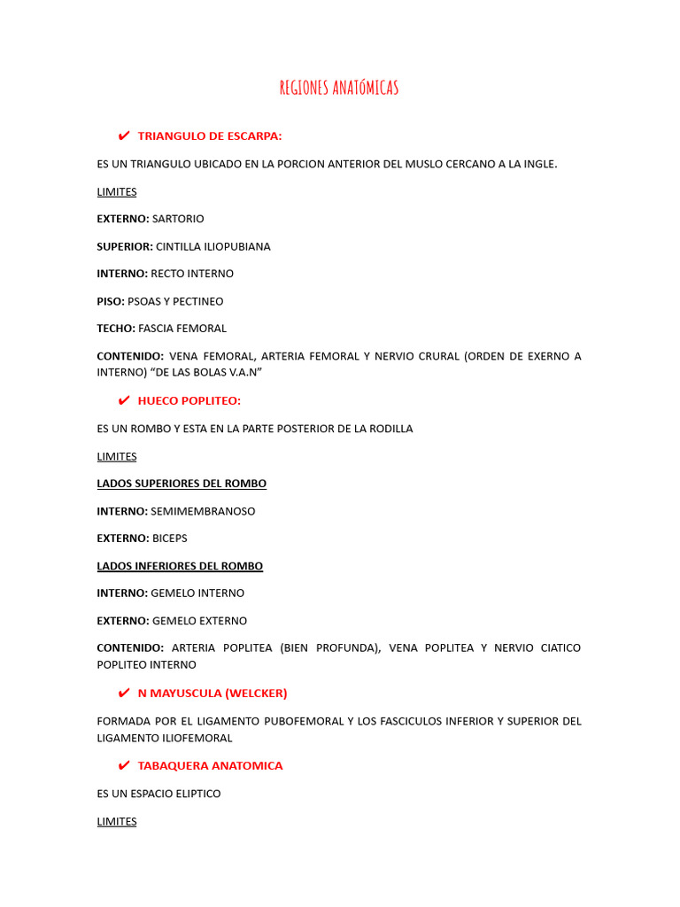Resumen Regiones Anatomicas | PDF