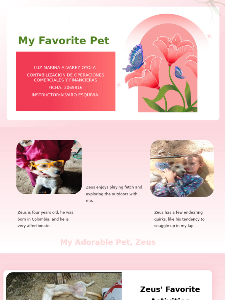 My Favorite Pet | PDF
