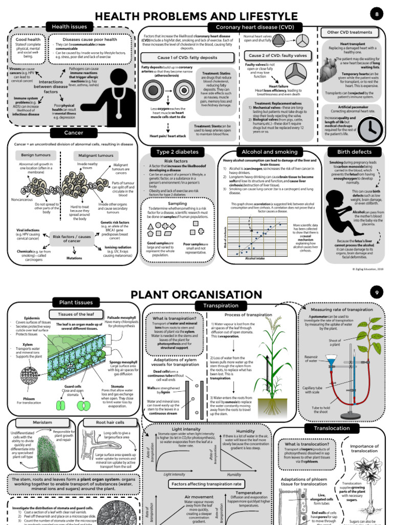 Bio 2 facts infection and response | PDF | Pathogen | Infection