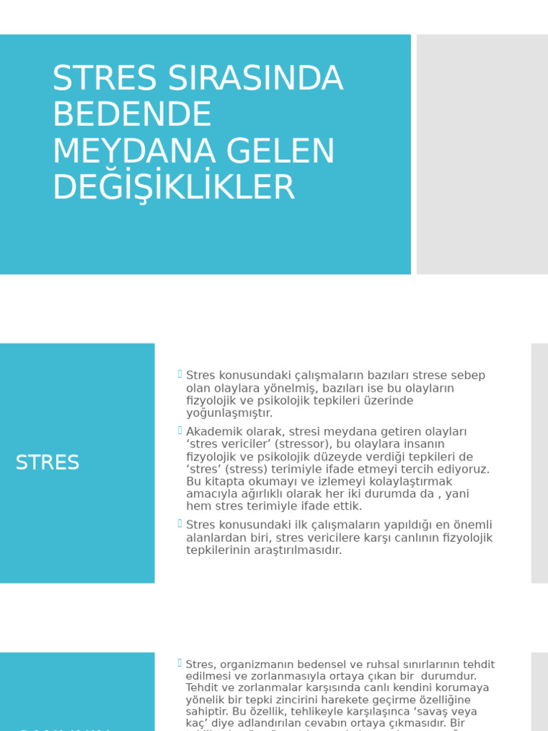 Bölüm - Stres Ve İnsan | PDF