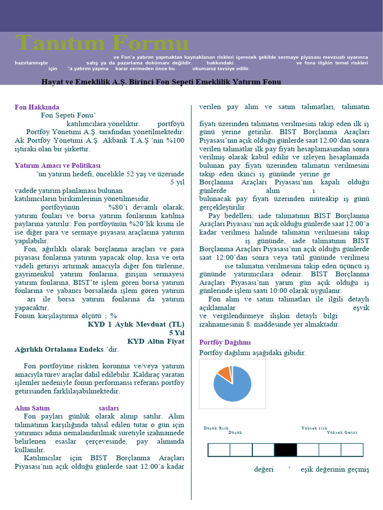 MZN Tan_t_m Formu 02 01 2024 | PDF