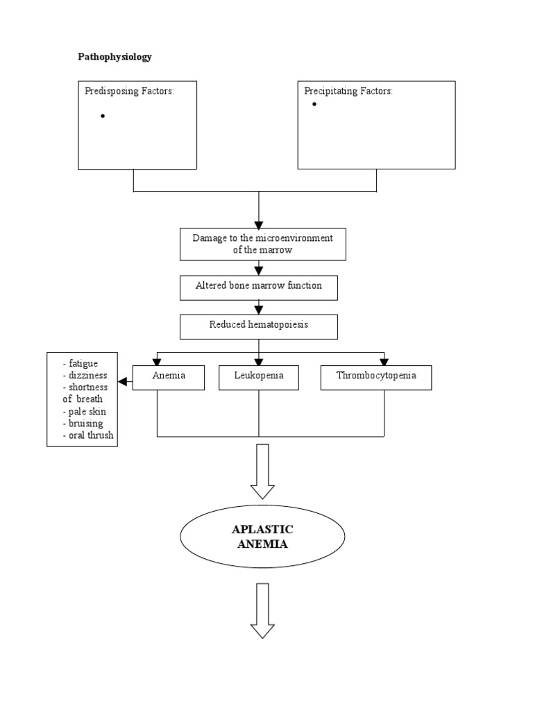 Aplastic Anemia Pathophysiology Overview | PDF | Bone Marrow | Anemia