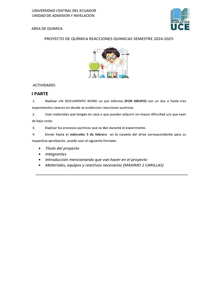 Proyecto de Reacciones Químicas 2024-2025 | PDF | Experimentar