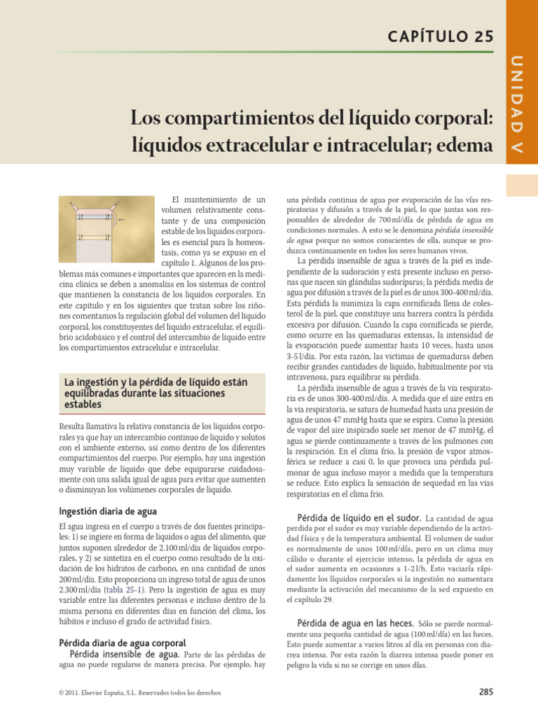 Guyton 12 Ed Capitulo 25 | PDF | Sangre | Sodio