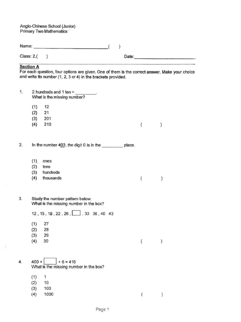 P2 Maths 2019 ACSJ SA2 Review2 | PDF