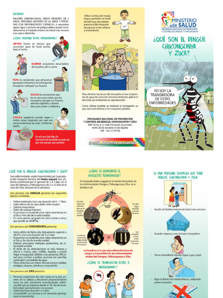 Triptico Dengue | PDF