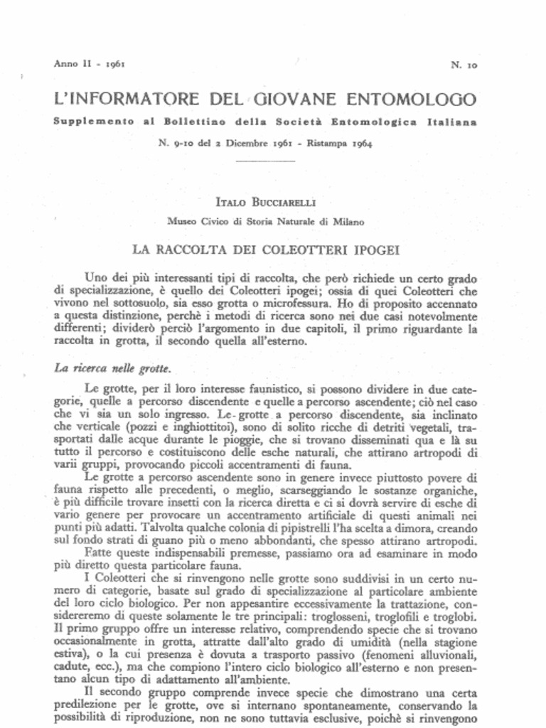 Informatore 10 | PDF