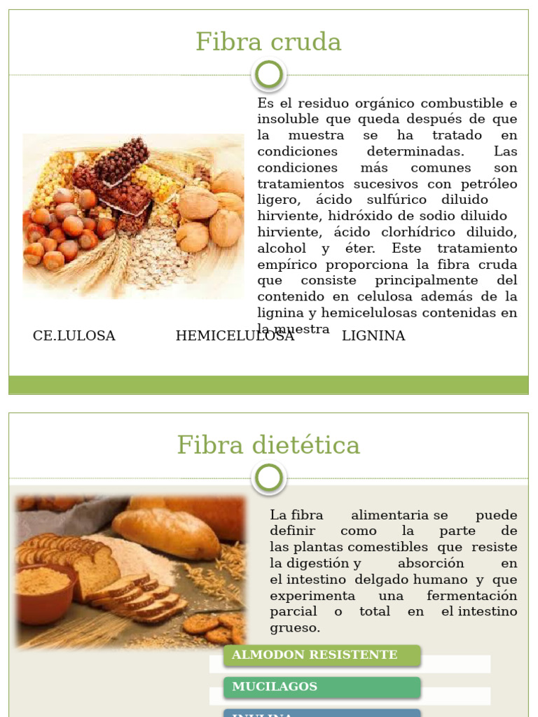 Determinación y Tipos de Fibra Cruda | PDF | Fibra dietética | Dieta y ...