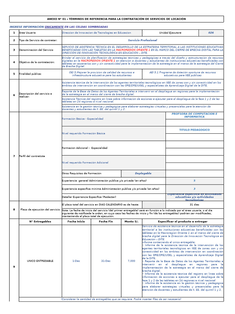 29-NOVIEMBRE_FORMATO TDR_MACRO ORIENTE 1_SHEILA ANE ANGULO FLORES | PDF | Tableta | Perú