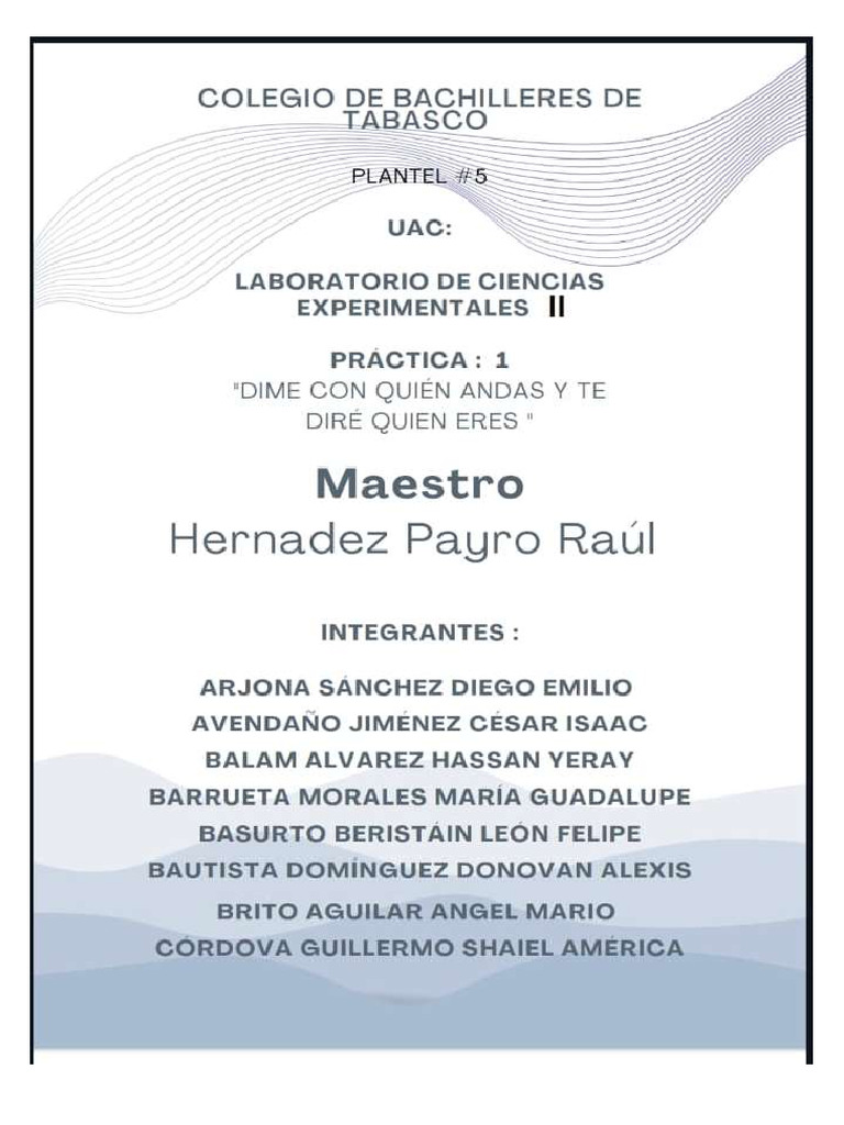 Prac1 1 | PDF | Importar | Compuestos químicos