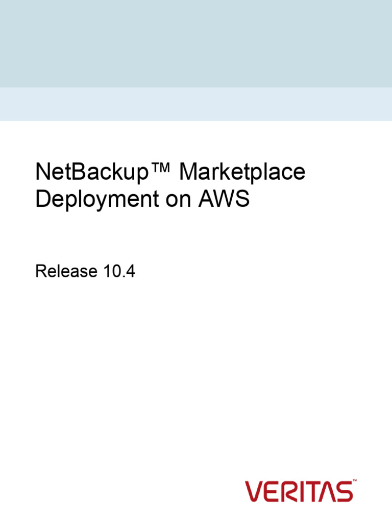 NetBackup Marketplace Deployment On AWS | PDF | Cloud Computing | Domain Name System