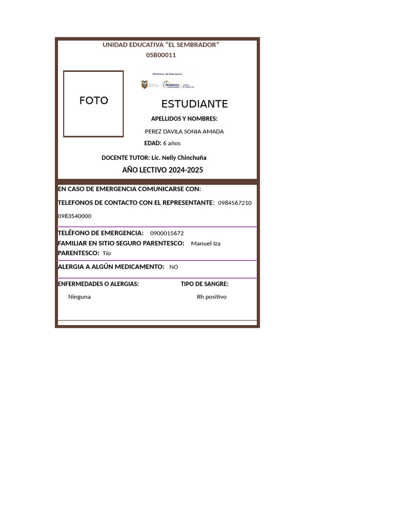 Carnet de Identificacion Del Estudiante 2025 | PDF