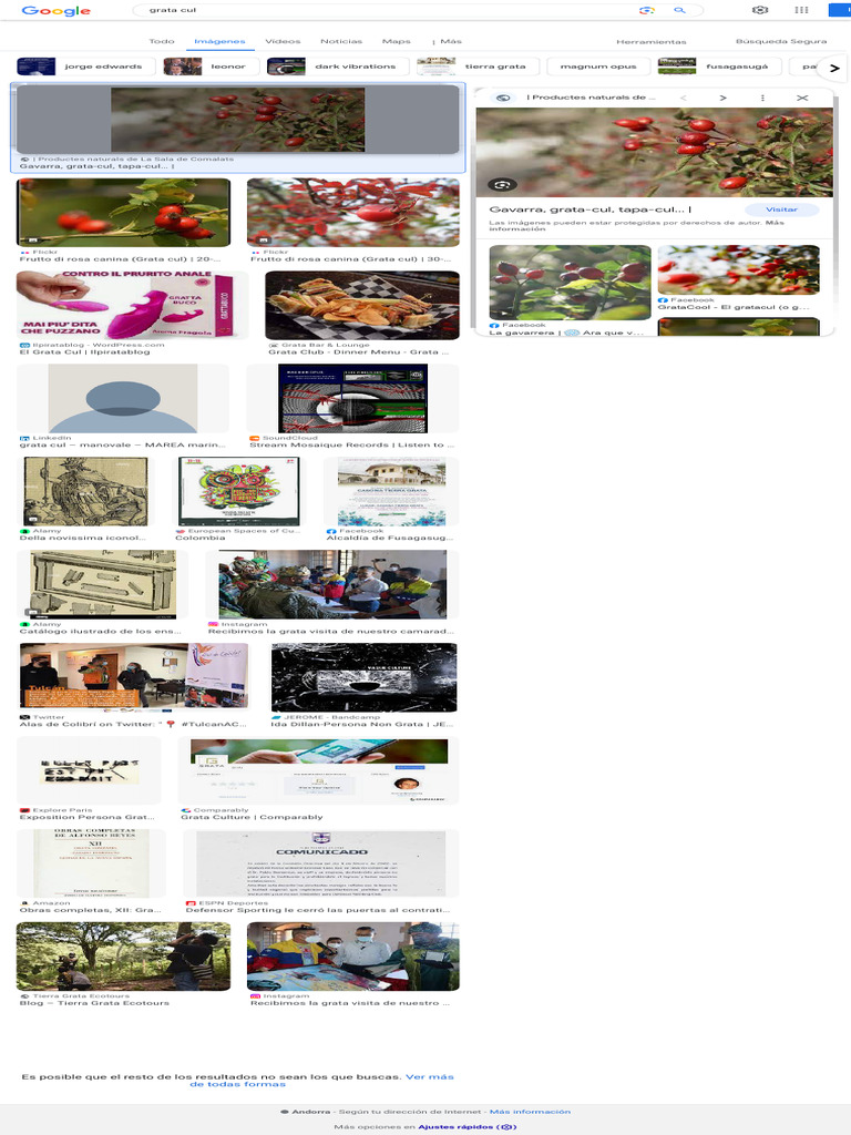 Grata Cul - Búsqueda de Google | PDF | Sitios web | Multimedia