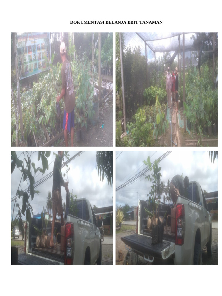 Dokumentasi Belanja Bbit Tanaman | PDF