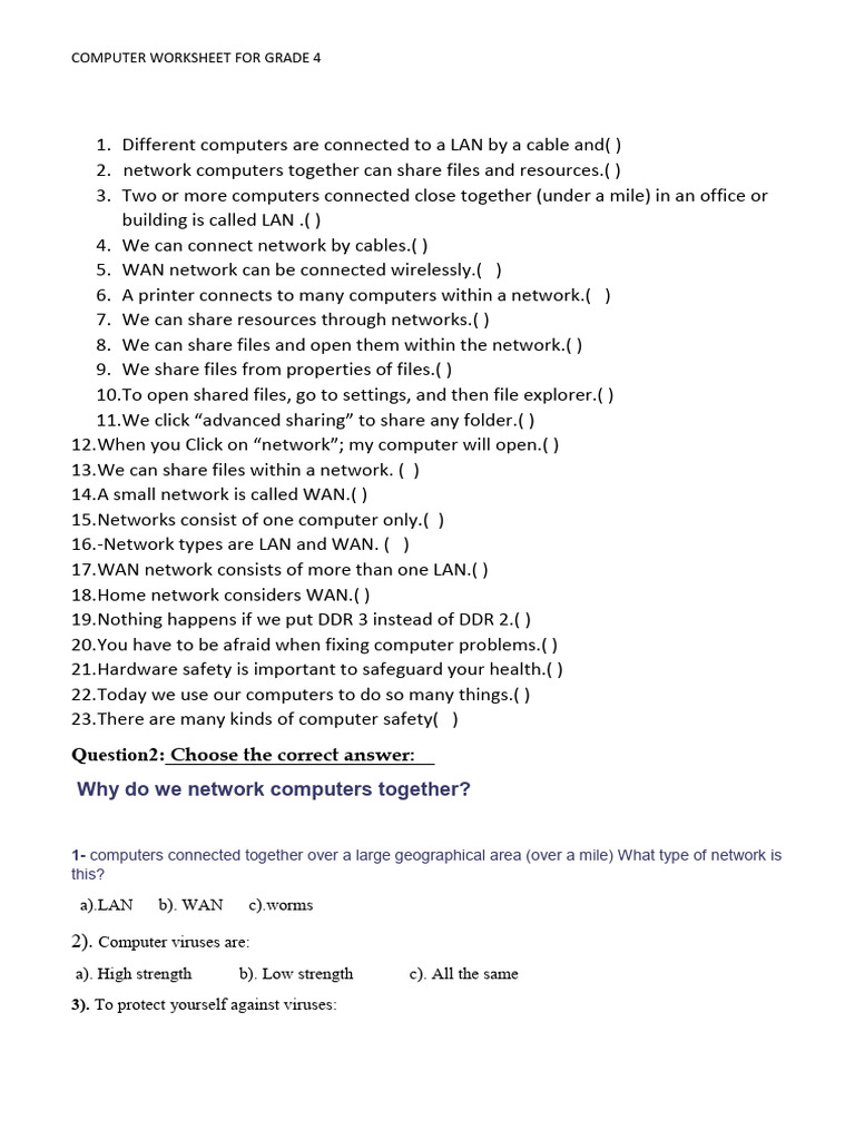 Grade 4 Computer Work Sheet | PDF