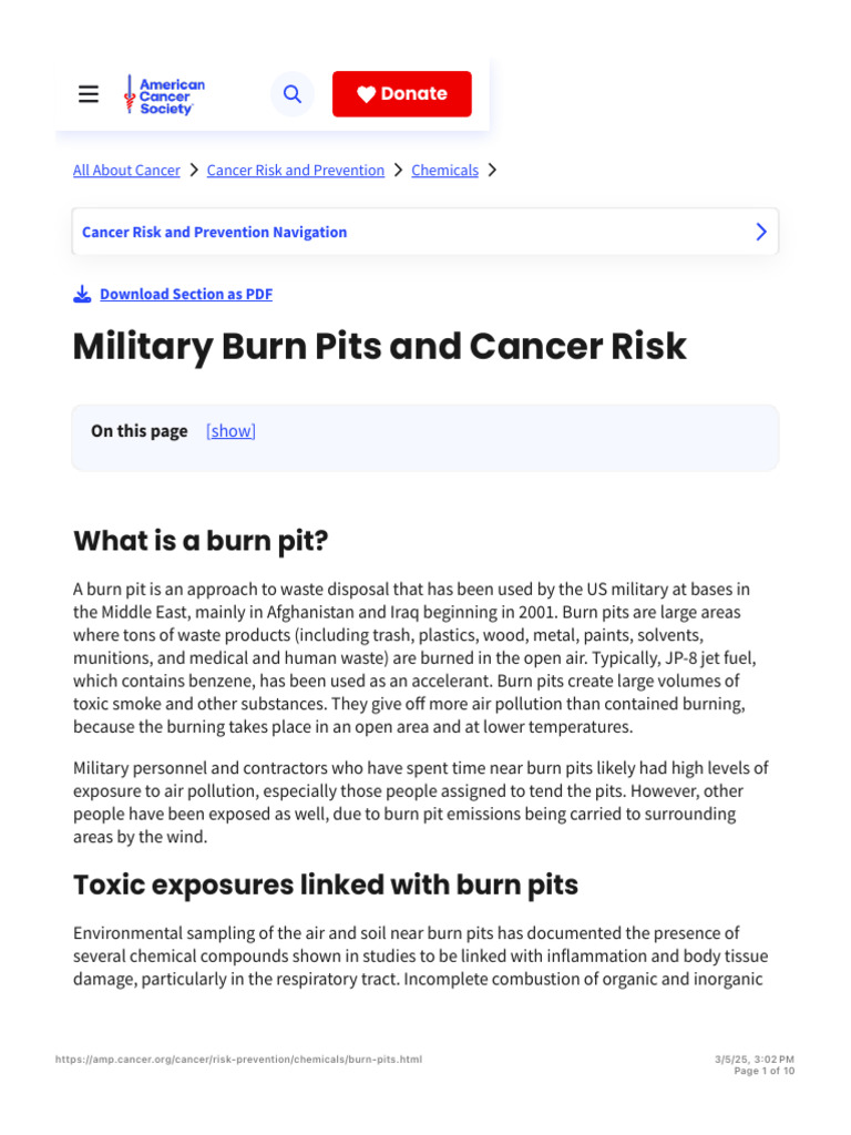 Military Burn Pits and Cancer Risk | PDF | Air Pollution | Carcinogen