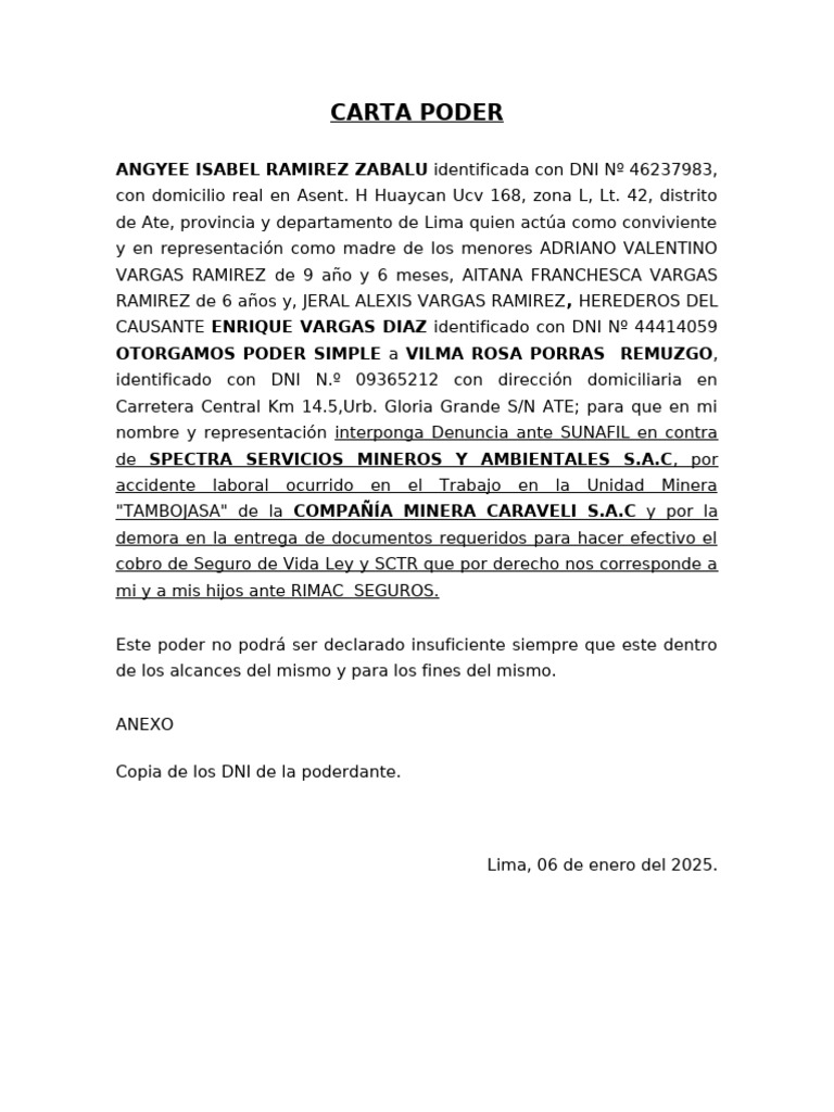 Carta Poder Sunafil | PDF