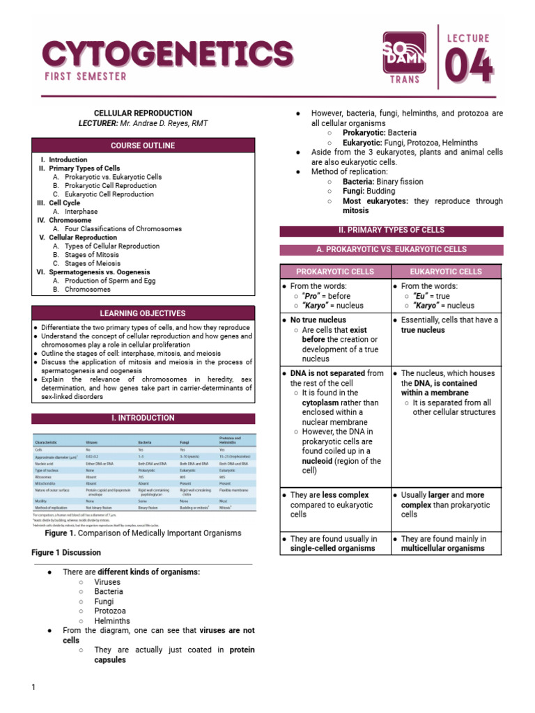 Cyto - Lec 4 - Cellular Reproduction | PDF | Mitosis | Meiosis