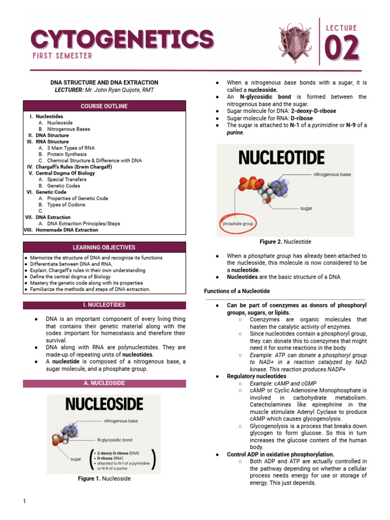 Cyto - Lec 2 - Dna Structure and Dna Extraction | PDF | Directionality ...