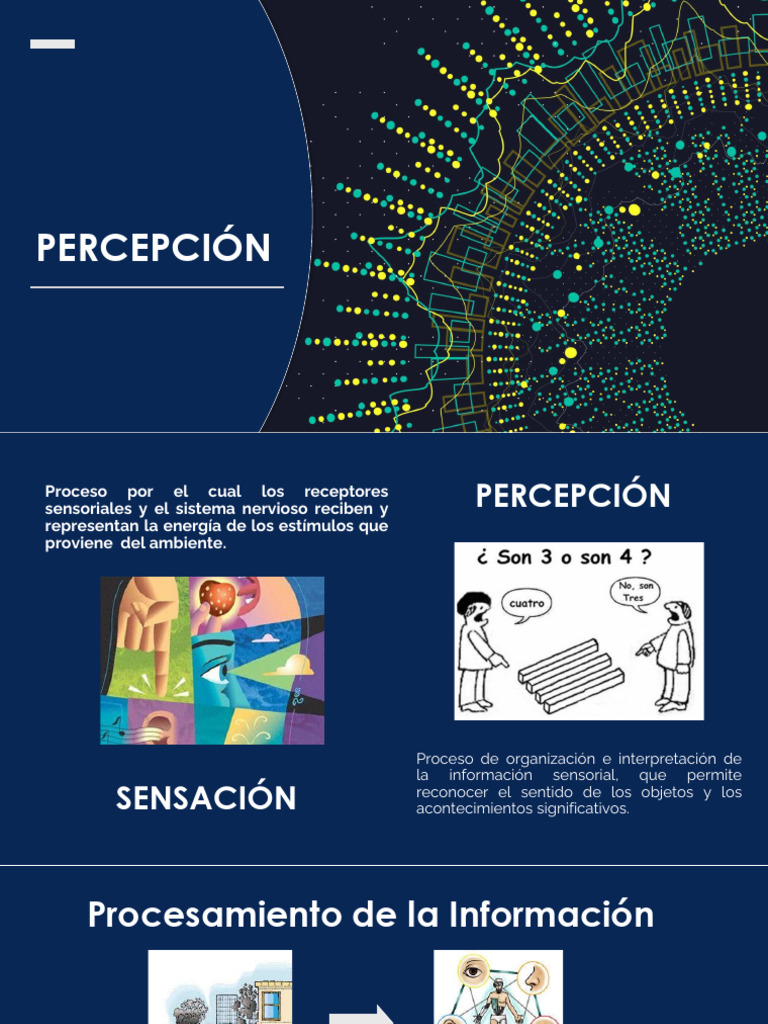 Procesos y Fases de la Percepción | PDF | Percepción | Sentidos
