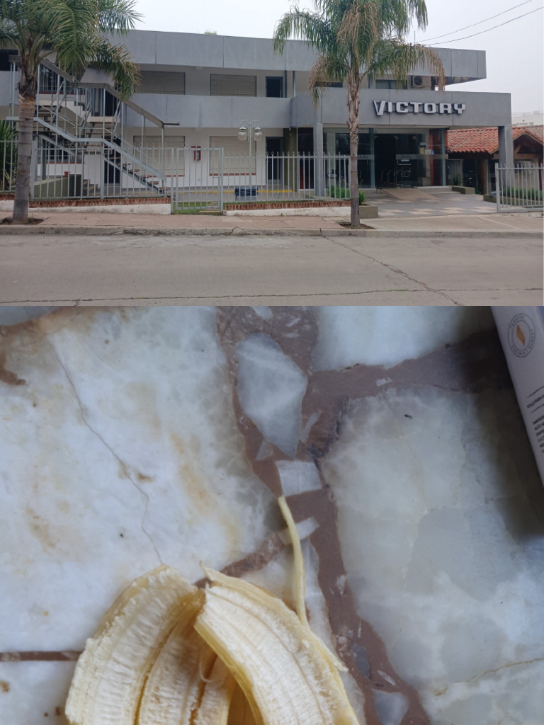 Gallery 20250305 210239 | PDF