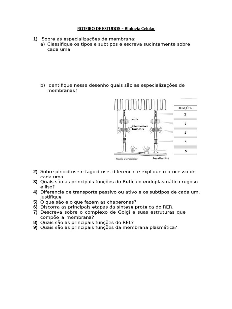 ROTEIRO DE ESTUDOS - Bio Cel | PDF