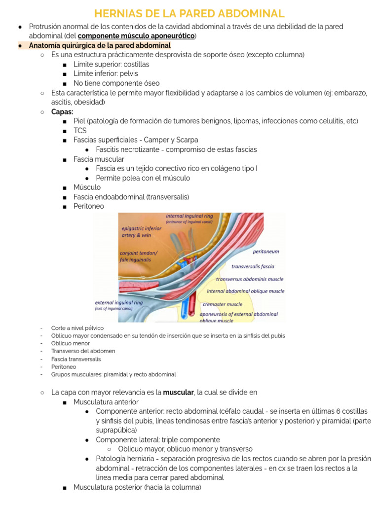 Hernias de La Pared Abdominal | PDF | Abdomen