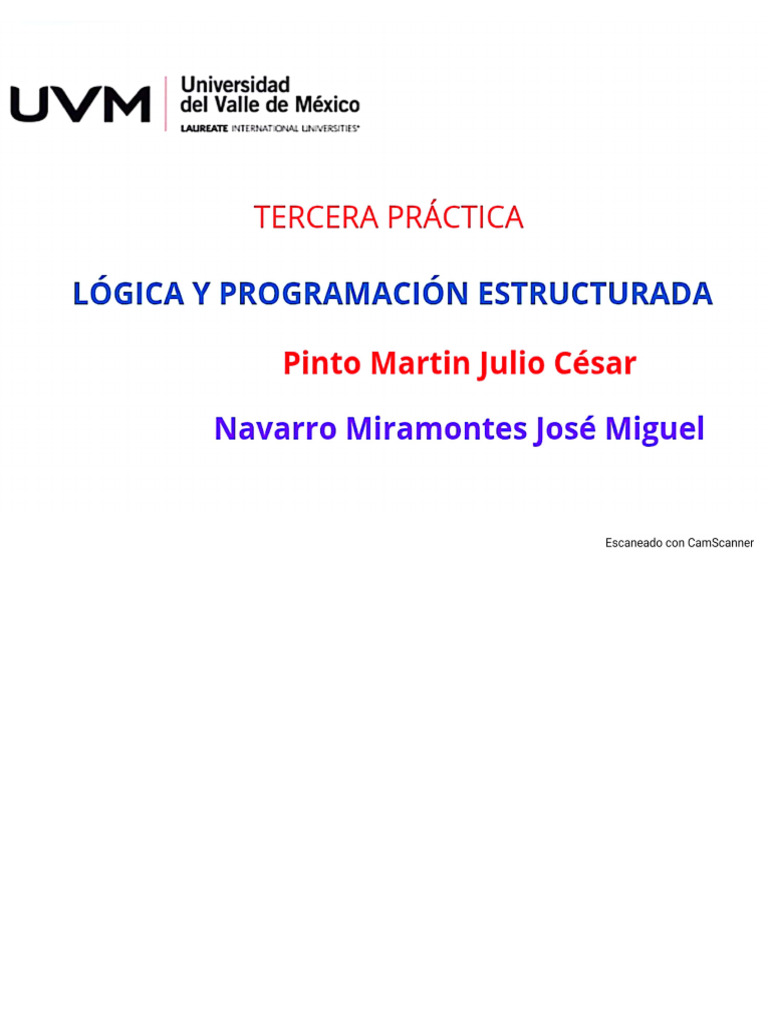 Practica 3 Log y Programacion | PDF