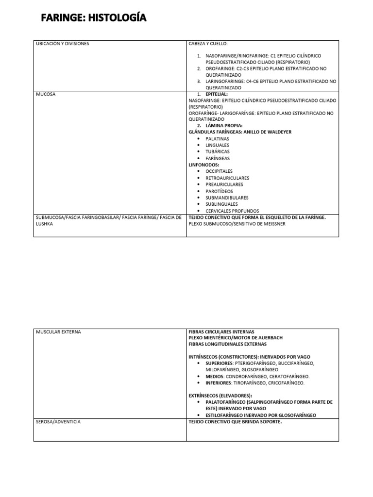 Cuadro Faringe Histología Guerrero Sotomayor Joshua 1372 | PDF ...
