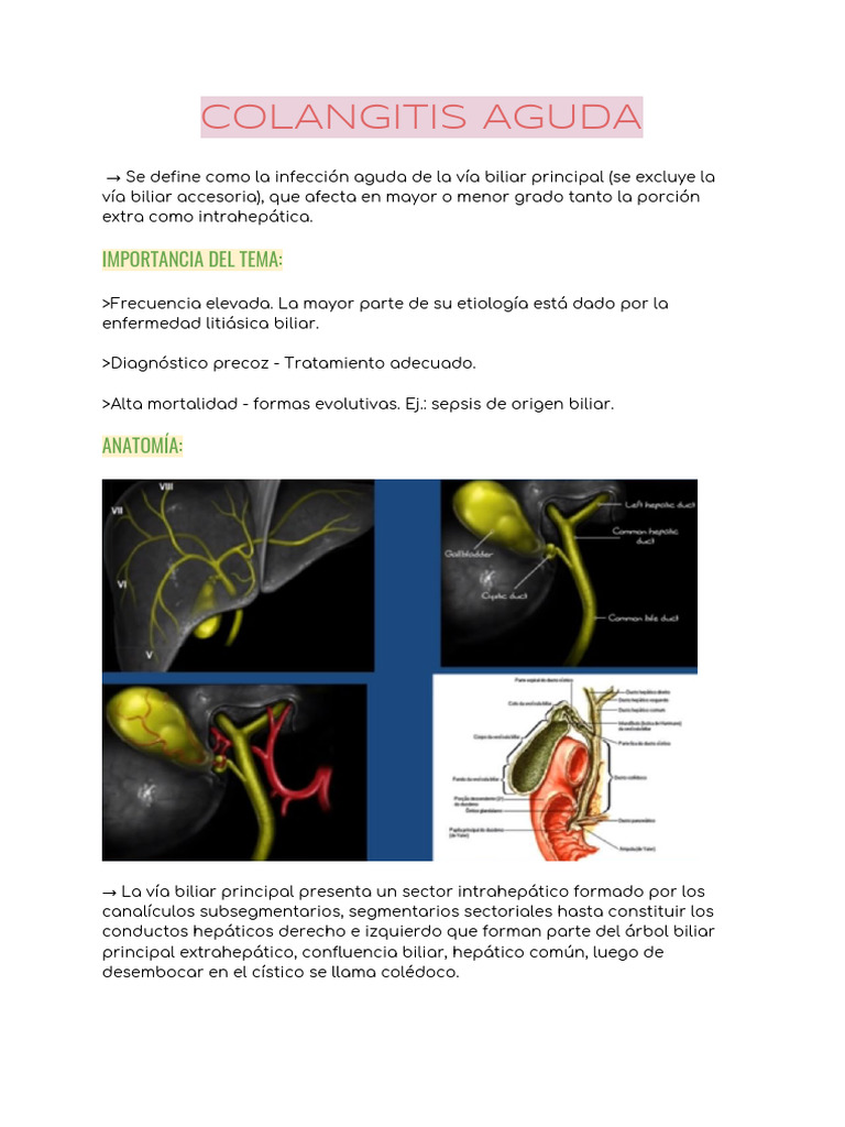 6to - Transcripcion (Basicas) - Colangitis Aguda | PDF | Septicemia ...